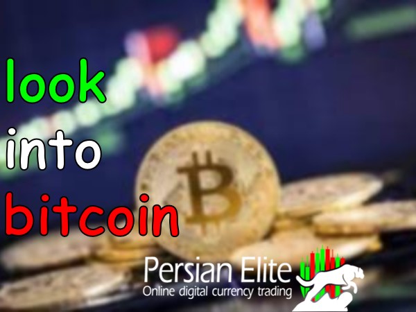 آموزش وب سایت Look into Bitcoin | پرشین الیت