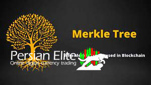با درخت مرکل (Merkle Tree) آشنا شوید | پرشین الیت