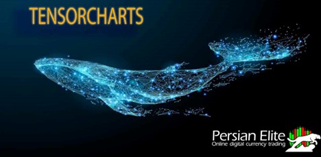 آموزش سایت TensorCharts | پرشین الیت